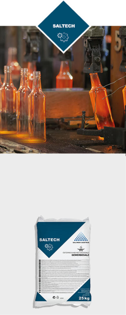 Home [www.salinen.rs]